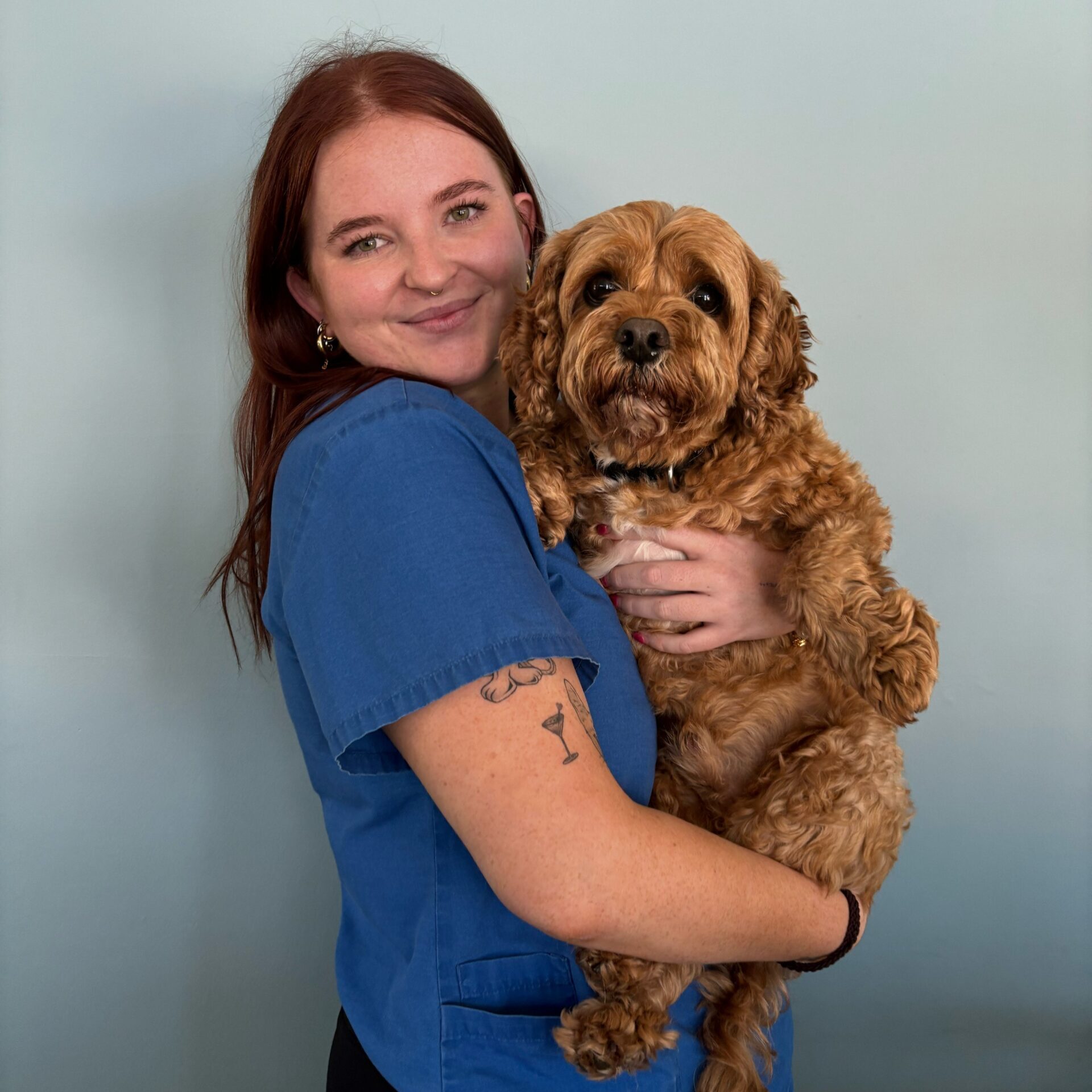 About | North Randwick Vet Hospital